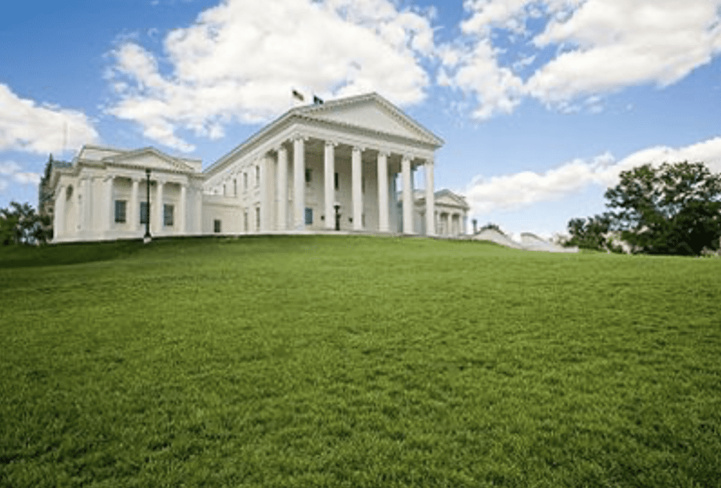Virginia Policy Priorities | Emgage Action